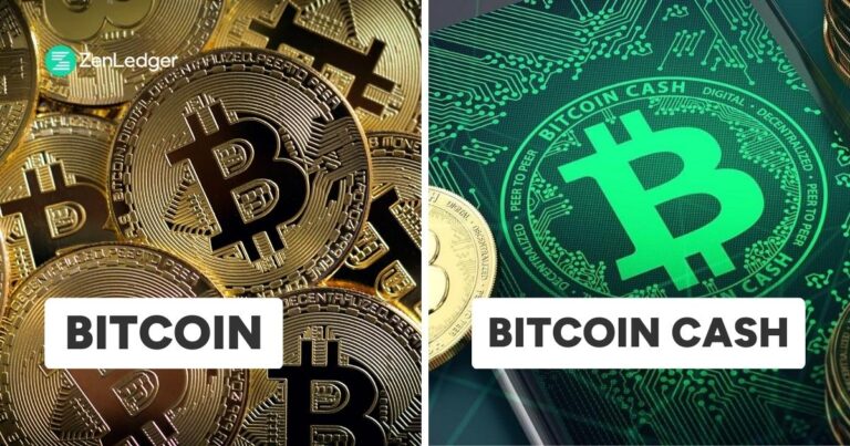 6 Difference Between Bitcoin (BTC) vs. Bitcoin Cash (BCH)